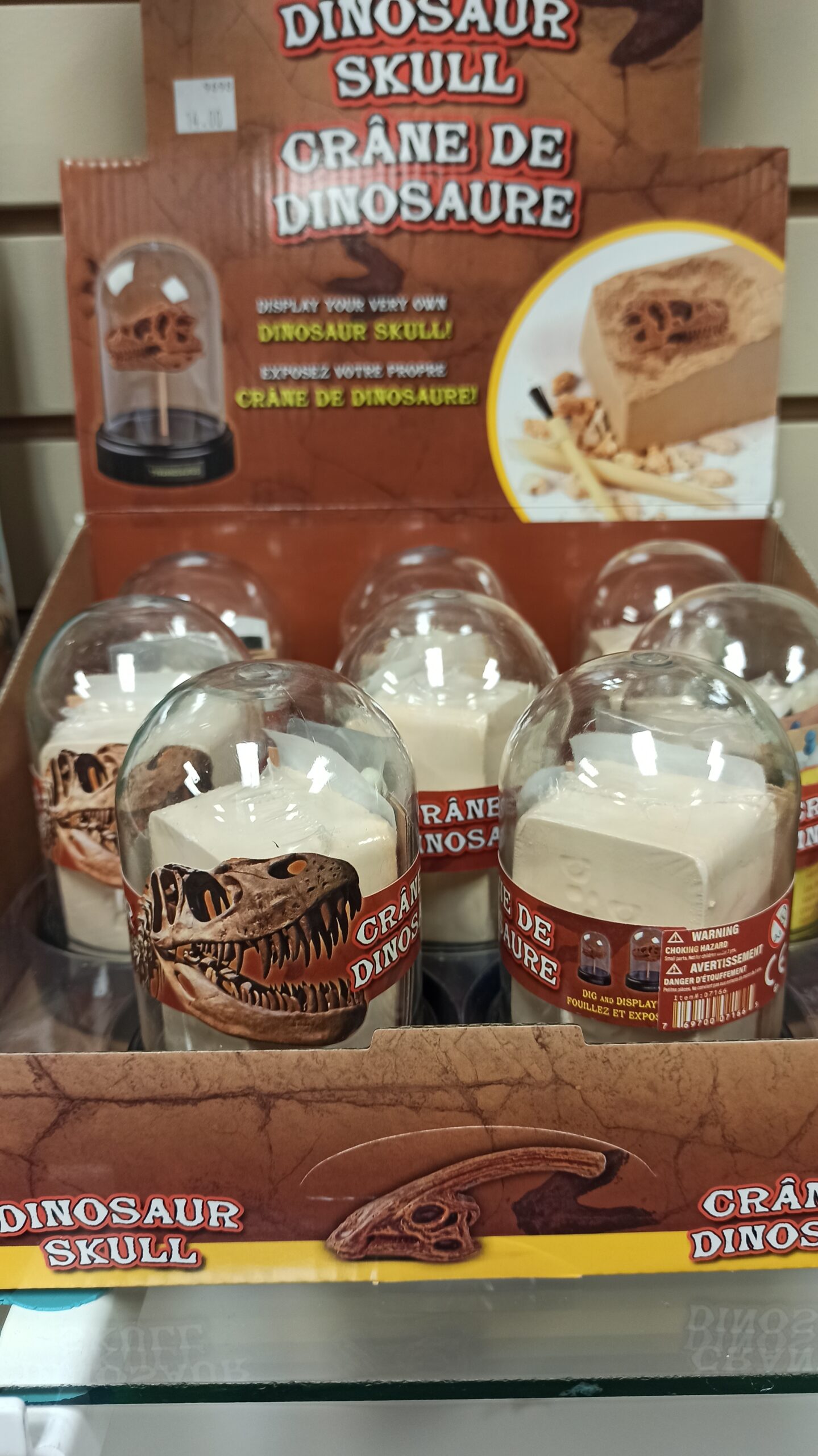 Dig It Out Dinosaur Skull (9698) – Canadian Fossil Discovery Centre